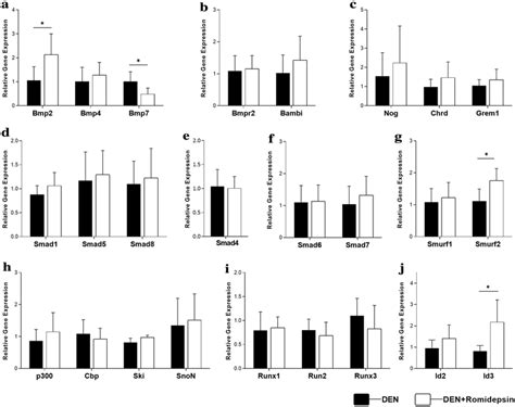 Relative Gene Expression Of Bmp Signaling Pathway Components In