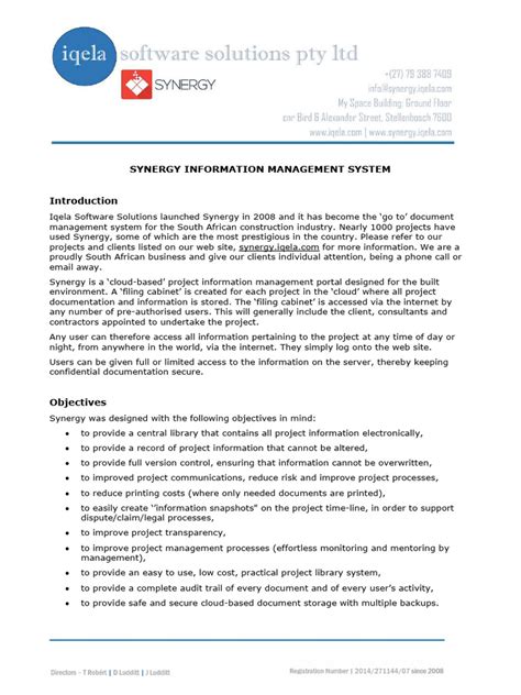 Synergy Summary Pdf Internet World Wide Web