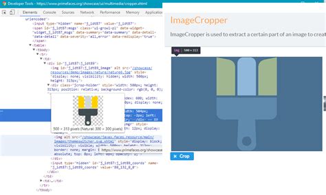 ImageCropper Renders Transparent Image As Black Issue Primefaces Primefaces GitHub