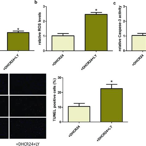 H 2 O 2 Treatment Reduced The Viability Of A549 Cells Cck 8 Assay