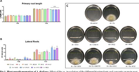 Figure 3 From Plant Growth Promoting Bacteria Potentiate Antifungal And Plant Beneficial