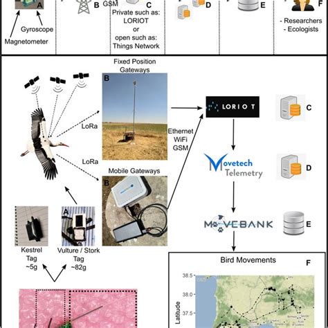 Examples Of Lorawan Gateway Configurations A Custom Lorawan Gateway