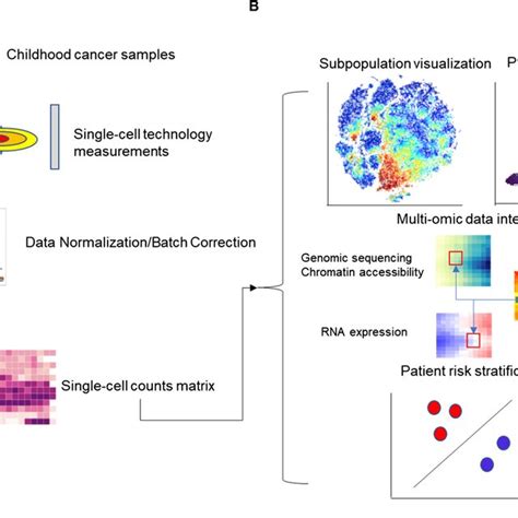 Overview Of Single Cell Technology Various Single Cell Methods Have