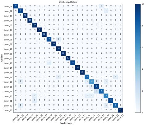 Validation Accuracy Of 9575 Squeezenet Model Download Scientific