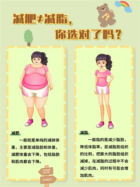 减肥和减脂，你真的选对了吗？ 哔哩哔哩