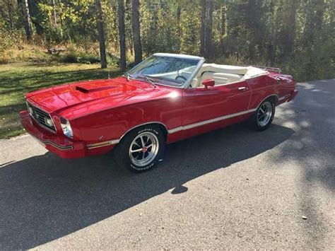 Old Car Shopper Mustang Ii Ford Mustang Cobra Ford Classic Cars