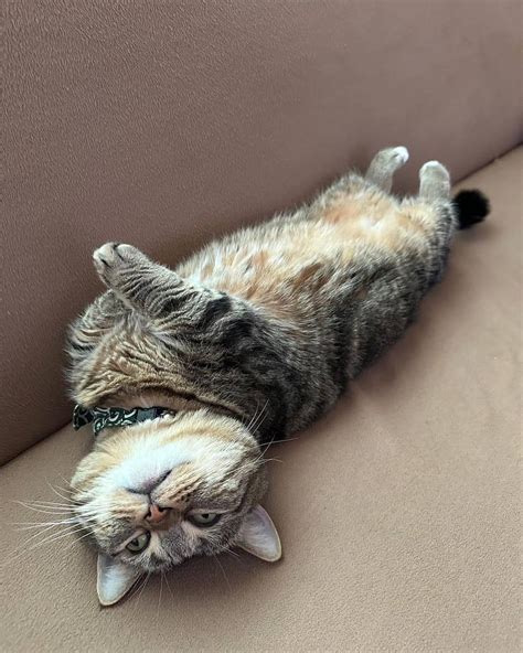 Bro Just Chilling On His Monday Raww Bro Just Chilling On His Monday Raww