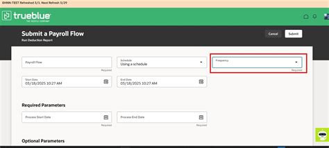 Custom Roles Are Not Showing Frequency When Submitting A Payroll Flow In Redwood Ui — Cloud