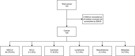 Flow Chart Showing Cancer Subtypes In Subject Who Underwent Ebus Tbna