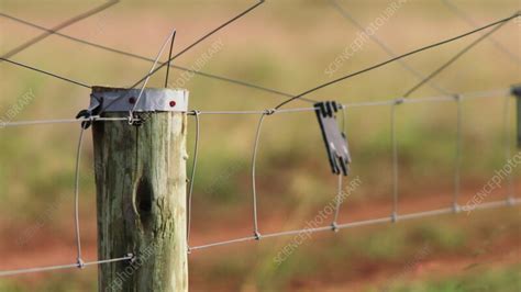 Electrical Fence Border Within National Park Stock Video Clip K012