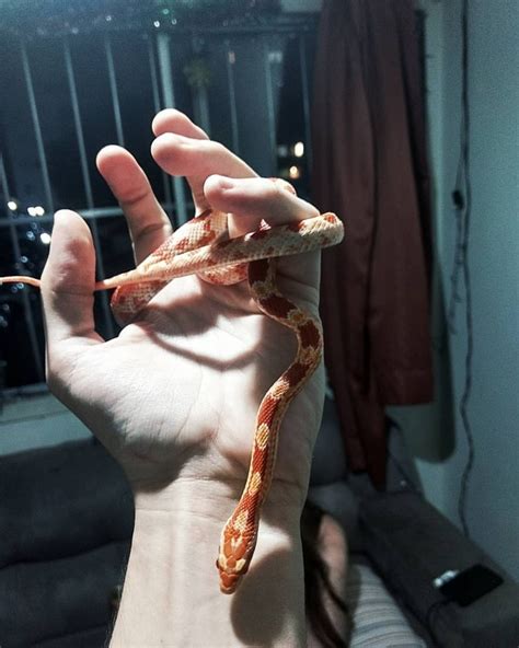 Watchingyoudb On Tumblr