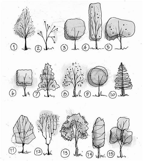 Tree Top Symbols Artofit