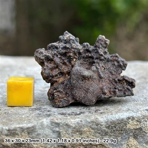 H5 Common Chondrite High Iron Meteorite Space Rock Etsy