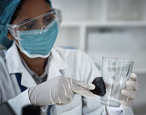Forensic Scientist And Woman With Brush In Lab For Fingerprint Analysis Or Evidence On Glass
