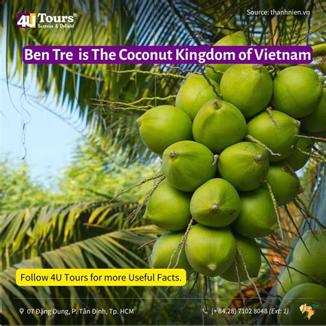 4u Ben Tre Is The Coconut Kingdom Of Vietnam 🥥known As The “coconut