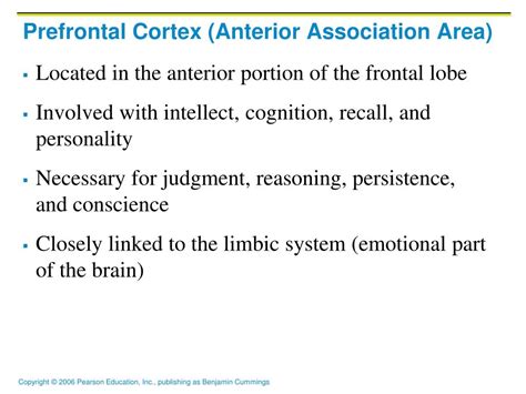 Ppt The Central Nervous System Powerpoint Presentation Free Download