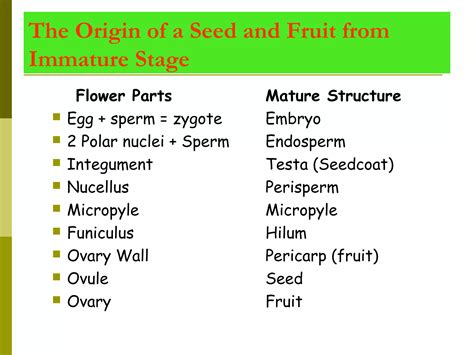 Angiosperm Seed Formation And Development Ppt