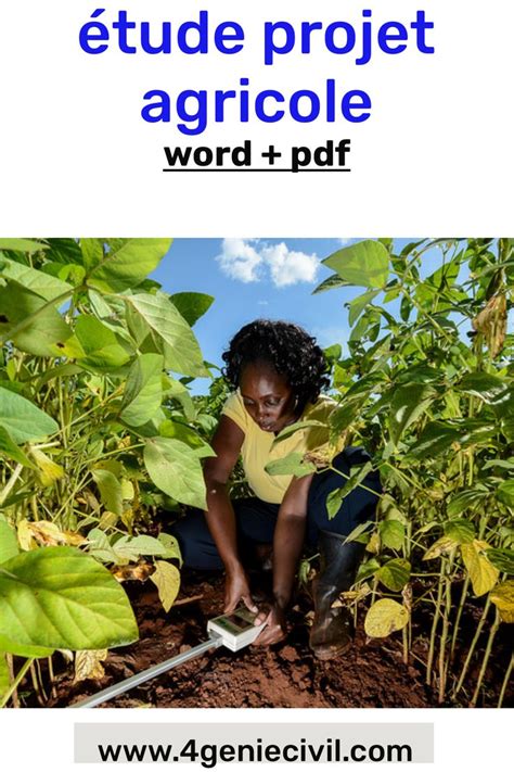 Exemple De Projet Agricole Rédigé Word Pdf Agriculture Quick