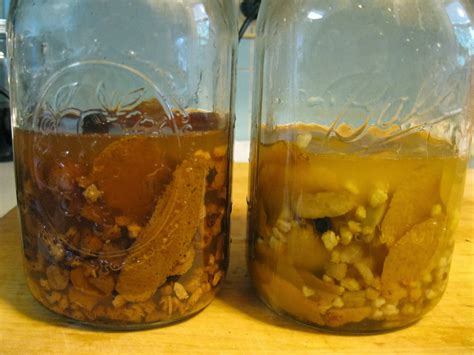 LemonySpirits Bitters