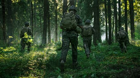 완벽 하 게 갖춰진된 군인 적 공격 위장 제복을 입고 촬영 준비가 소총 행동 짙은 스모키 숲 대형에서 실행 하는 부 대에에서 군 가동 다시 보기 영상입니다 군대에 대한 스톡
