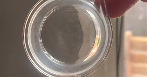 How To Test The Purity Of Your Solvent Evap Test