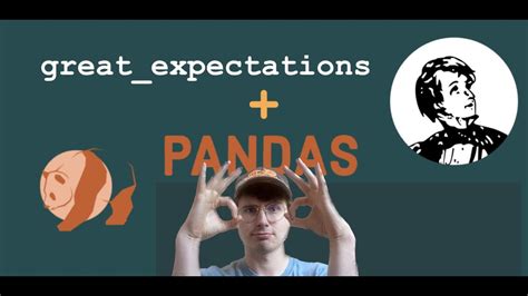 How To Do Data Quality Checks On Pandas Dataframes Using Greatexpectations Youtube