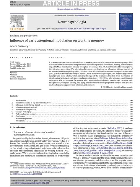 In Uence Of Early Attentional Modulation On Working Memory