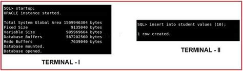 Oracle Database Shutdown Procedure Tpoint Tech