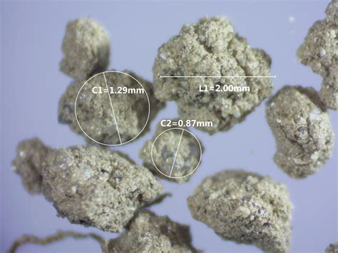 Evaluating Soil Health Woods End Laboratories