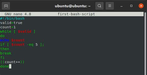 How To Write A Bash Script Nucleio Information Services