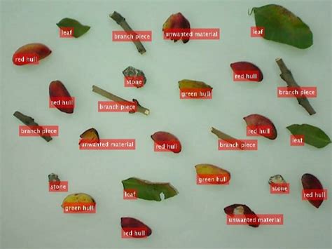 Steps Of The Segmentation A The Original Image B Grayscale Image Download Scientific