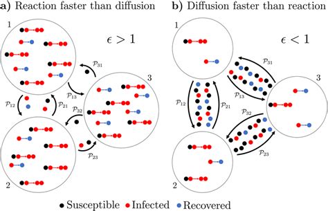 Schematic Illustration Of Reaction Diffusion Processes Characterized By Download Scientific