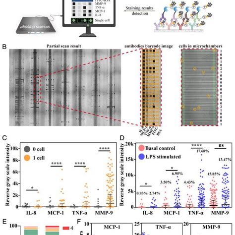 Multiplexed Single‐cell Protein Secretion Analysis With Macrophages Download Scientific