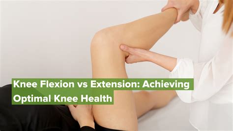 Most Important In Flexion And Extension Of The Knee At Amy Dieter Blog
