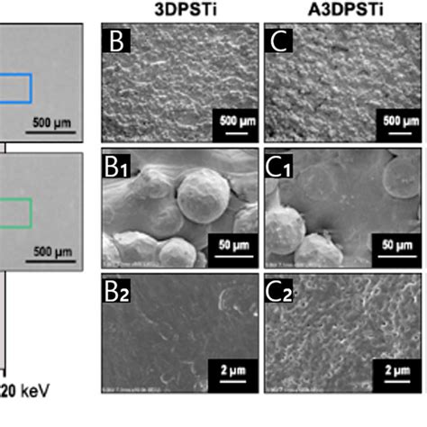 Surface Characterization Of Titanium Scaffold A Energy Dispersive