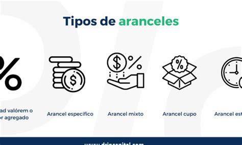 Ad Valorem Ejemplos Prácticos Para Entender Su Aplicación