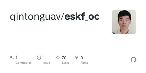 Issues · Qintonguav Eskf Oc · Github