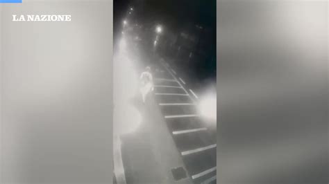 Man Crushed By Tree While Cutting Trees ReelLeak