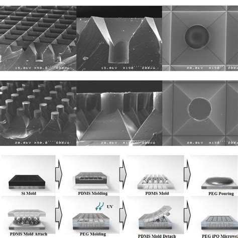 Fabrication Of Si And Pdms Molds And Soft Lithography Process A B Download Scientific