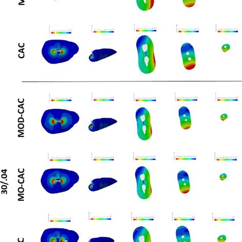 Composite Figure Showing The Stress Distribution Of The Vms From Download Scientific Diagram