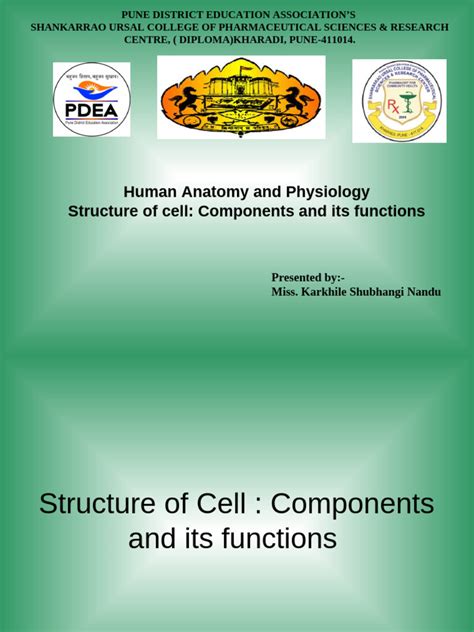 Cell Structure Function Ppt Diploma Pdf Cell Biology Cell Nucleus