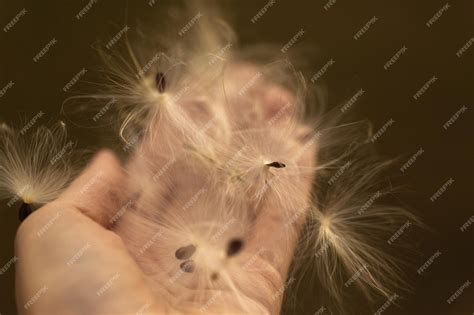 Premium Photo A Person Holding A Fluffy Mouse With A Fuzzy Head