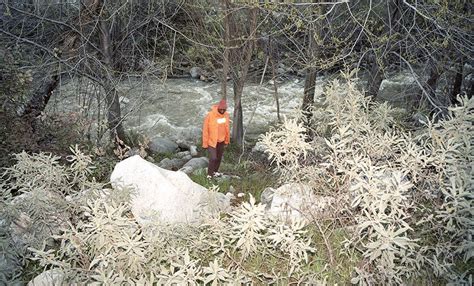 Huge Body To Move On Scroll Css Only Rwordpress