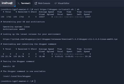 Connect The Public Cluster To The Private Cluster Link Distributed