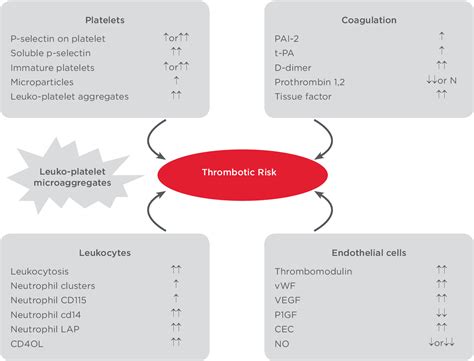 Figure 1 From The Role Of Jak2 Mutation In Thrombotic Complications Of Chronic