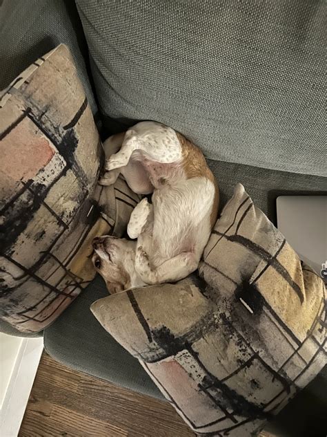 Hes So Derpy Looking Scrolller