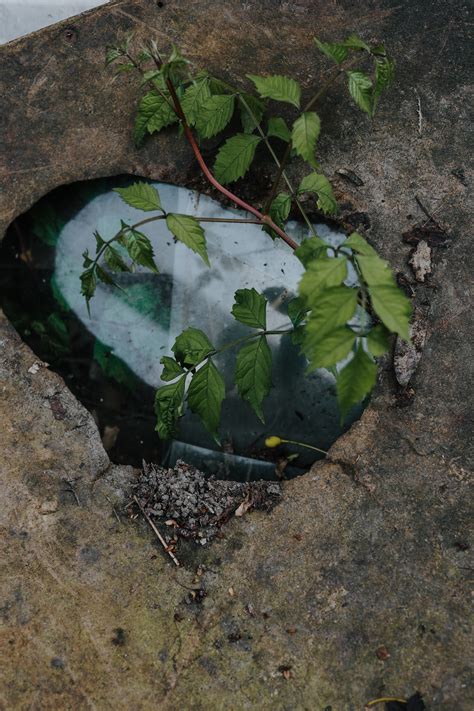 무료 사진 반지와 빨간 매니큐어를 바른 손 피아노 연주 클로즈업