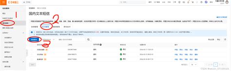 阿里云 短信验证nodejs Express接入阿里云短信服务实现短信发送功能nodeexpress 对接阿里短信验证 Csdn博客