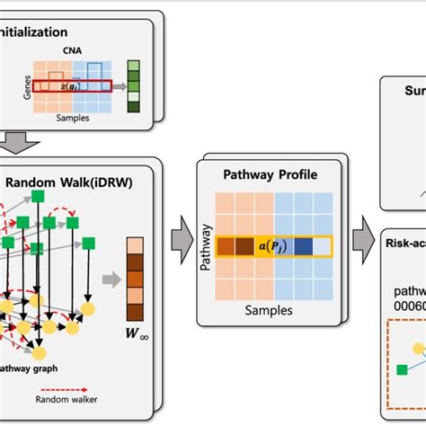 Survival Prediction Performance Comparison Between Pathway Profiles Of