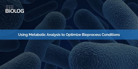 Using Metabolic Analysis To Optimize Bioprocess Conditions